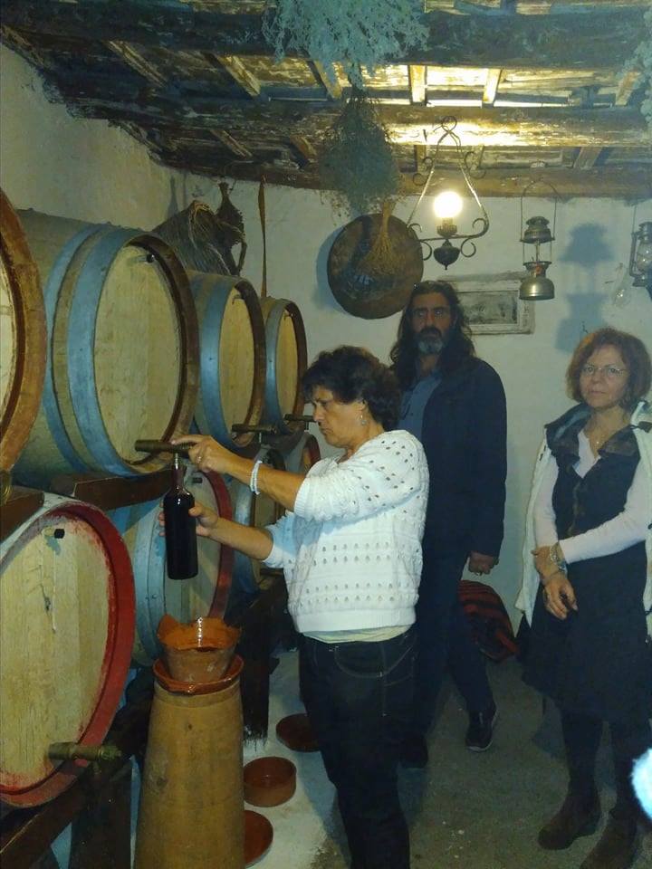 ΡΑΚΟΚΑΖΑΝΟ ΒΑΣΙΛΗ-ΓΙΩΡΓΟΥ - Στέγη Ευζωίας και Αριστείας (ΣτΕΑ)