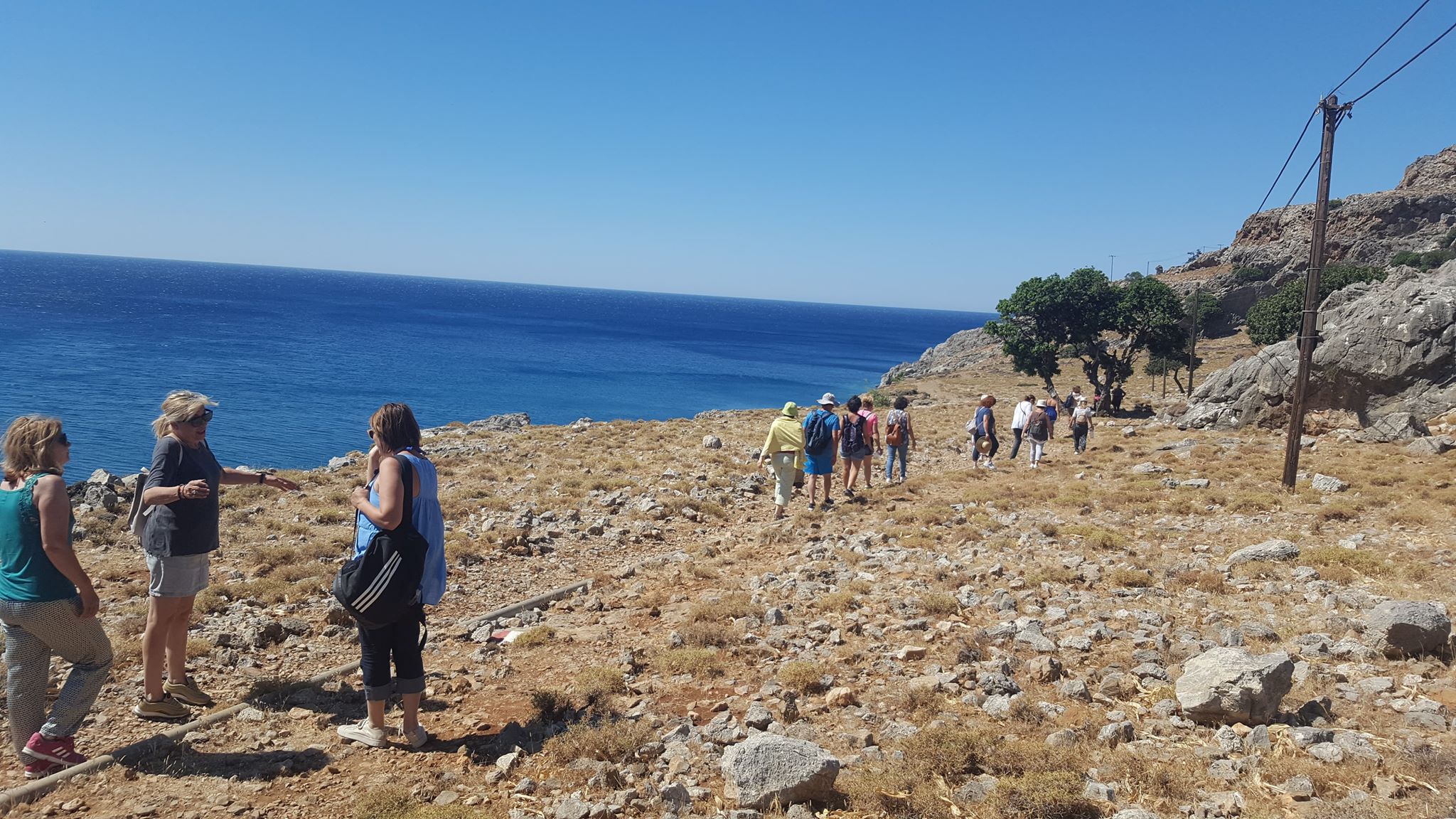 Αστερούσια. Ιούνιος 2020 - Στέγη Ευζωίας και Αριστείας (ΣτΕΑ)