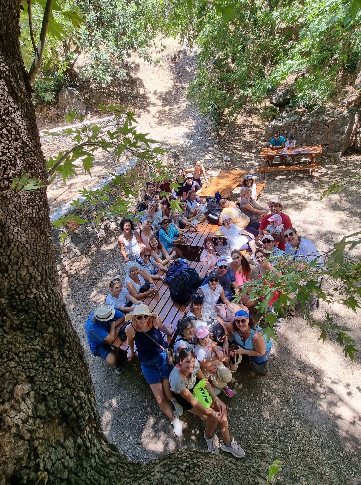 Σκοπός της ΣΤΕΓΗΣ ΕΥΖΩΙΑΣ και ΑΡΙΣΤΕΙΑΣ - Στέγη Ευζωίας και Αριστείας ...